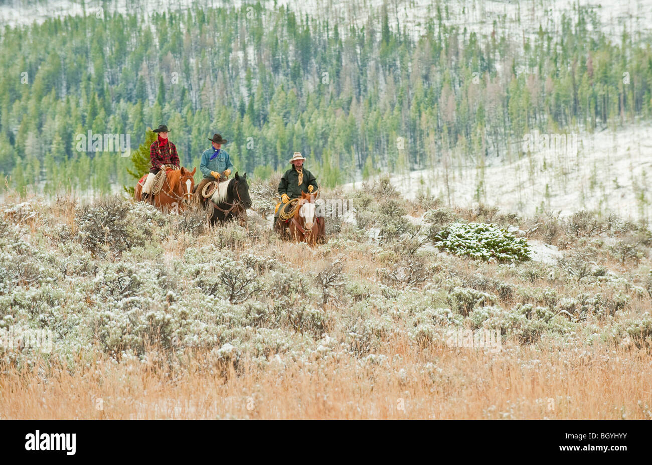 Group of three female horse riders hi-res stock photography and images ...