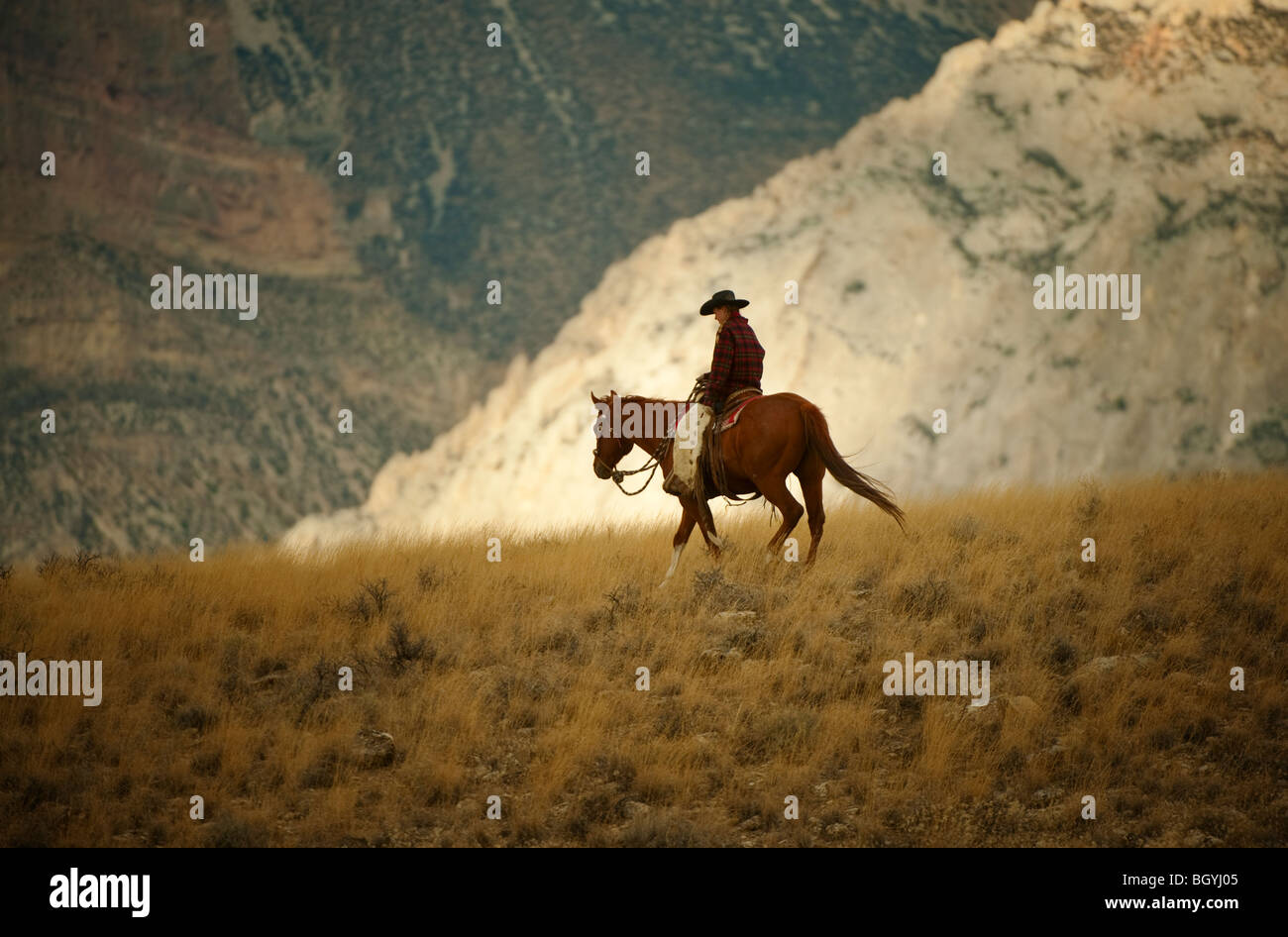 Lone cowboy hi-res stock photography and images - Alamy