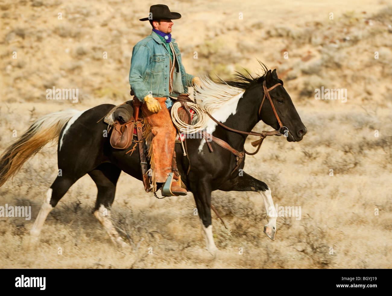 Side saddle rider hi-res stock photography and images - Alamy