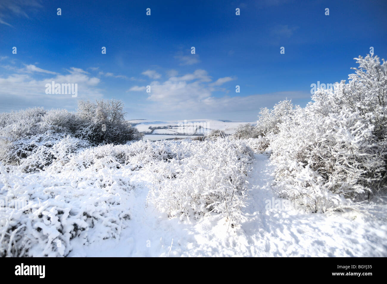 Postcard of a winter scene hi-res stock photography and images - Alamy