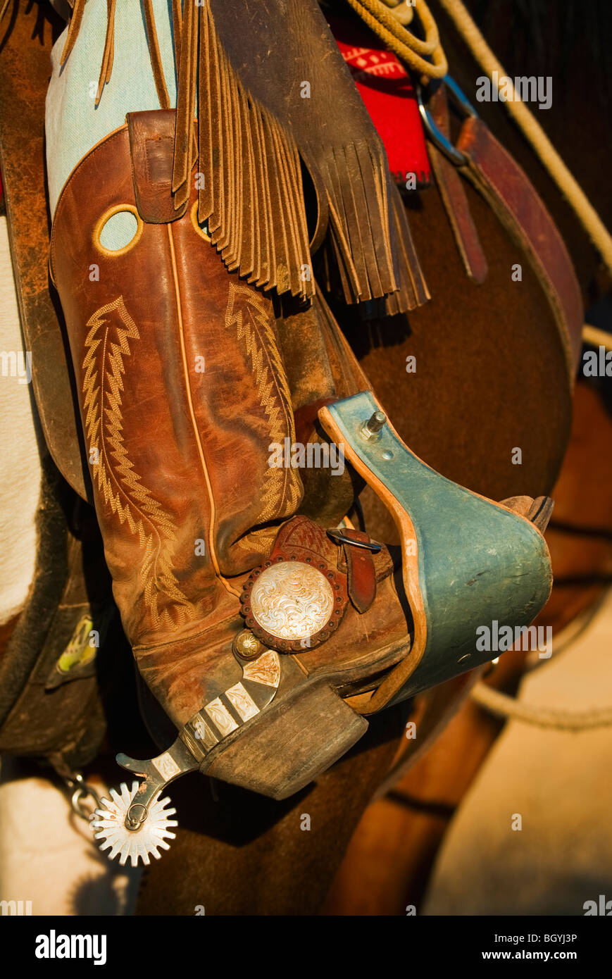 Working cowboy gear hi-res stock photography and images - Alamy