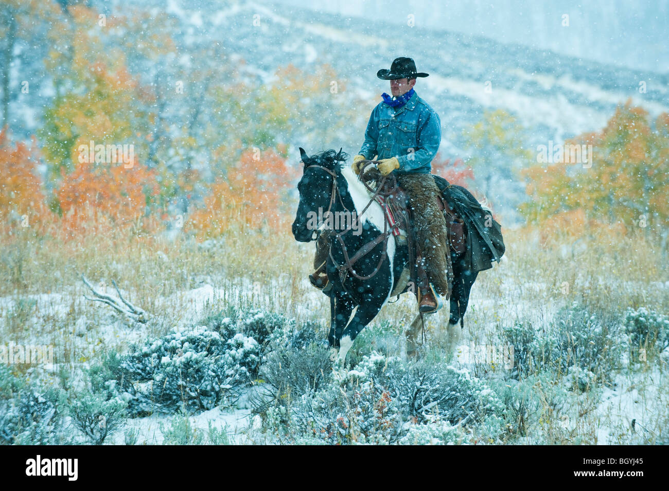 Rider seated hi-res stock photography and images - Alamy