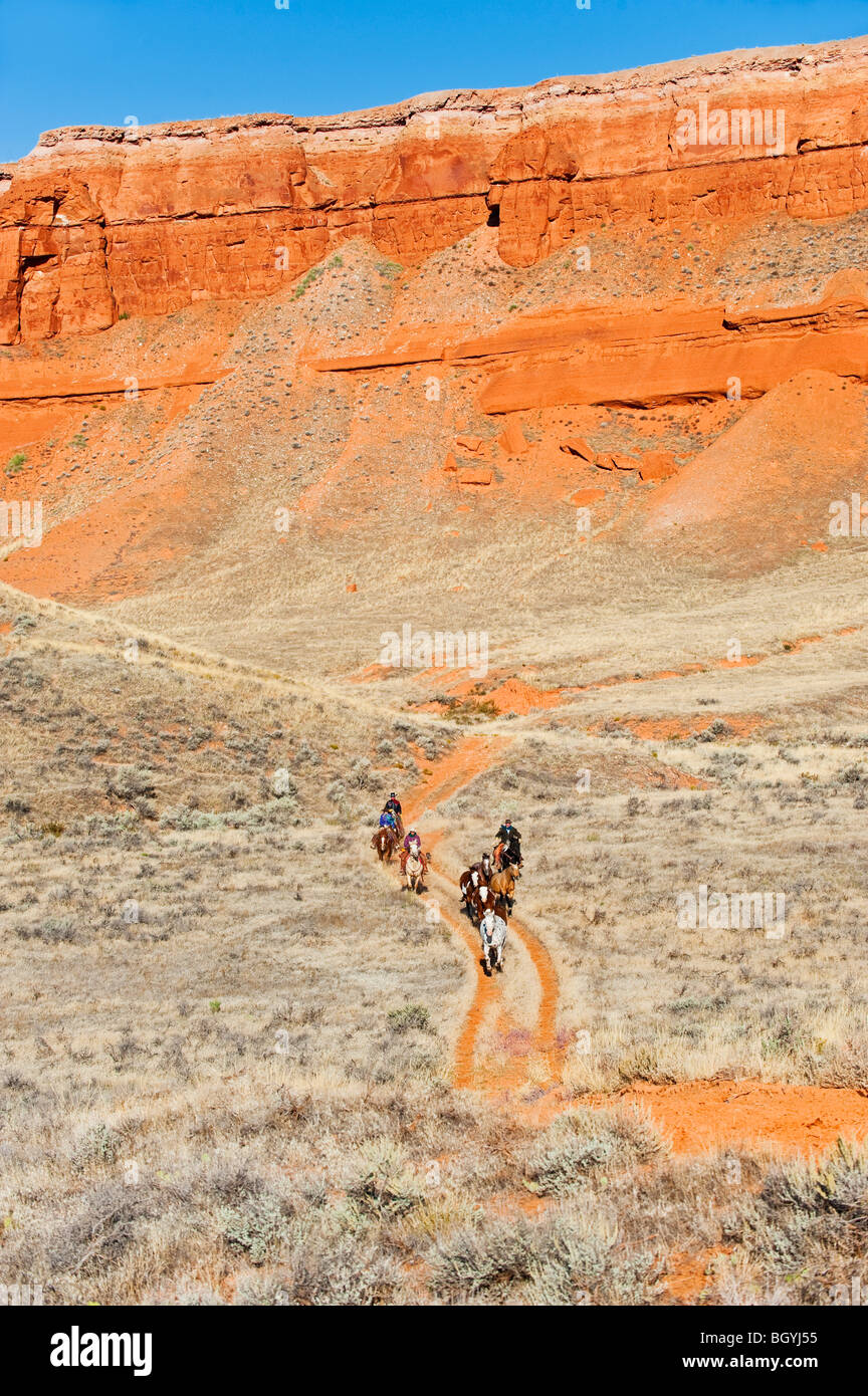 Horseback riders on trail Stock Photo - Alamy