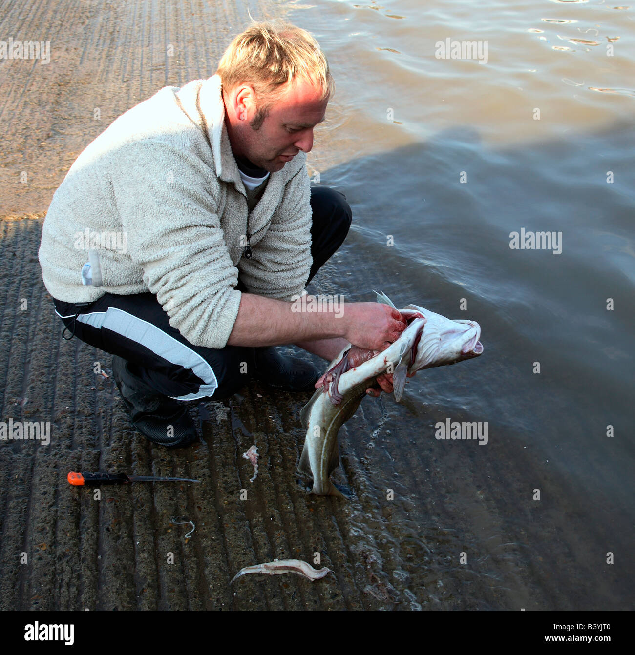 Fisherman gutting hi-res stock photography and images - Alamy