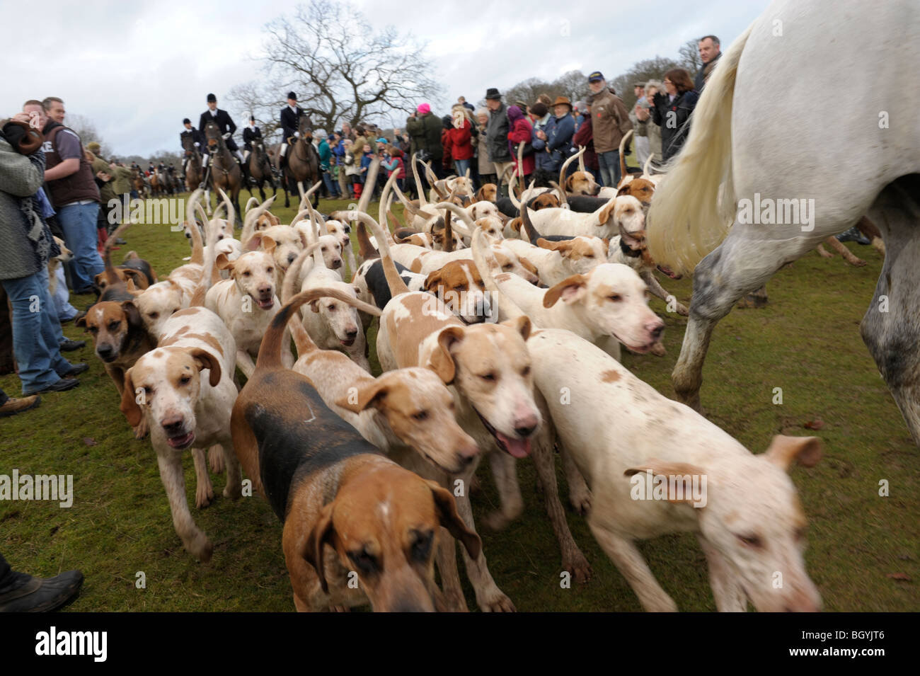 Traditional Boxing Day Hunt at Petworth Park, Sussex, England Stock ...