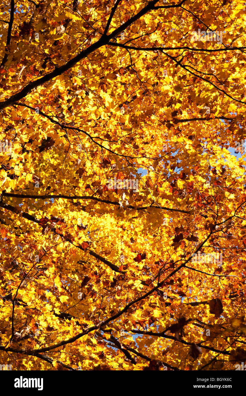 Strafford vermont hi-res stock photography and images - Alamy