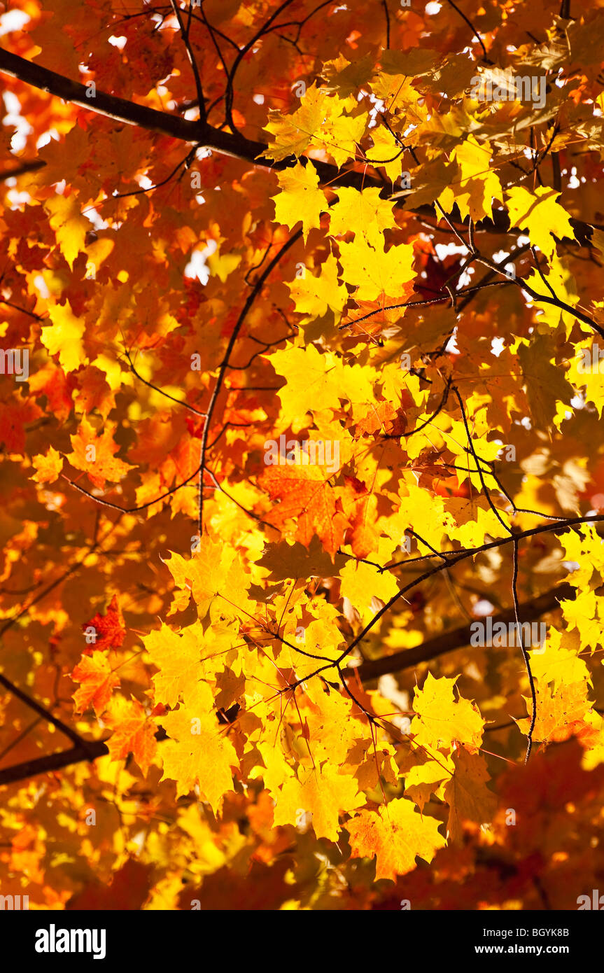 Tunbridge vermont hi-res stock photography and images - Alamy