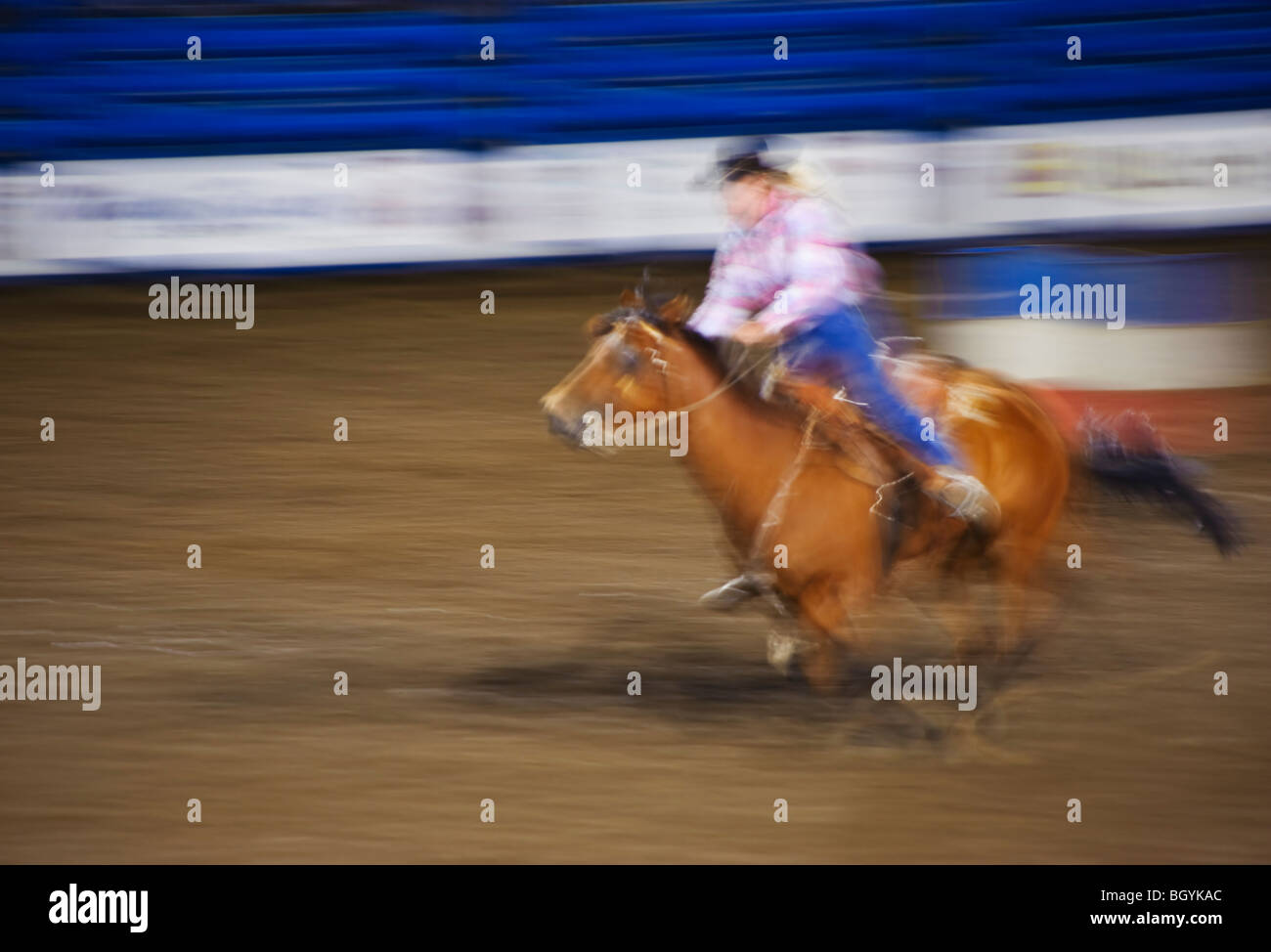 Full length horses horse racing hi-res stock photography and images - Alamy