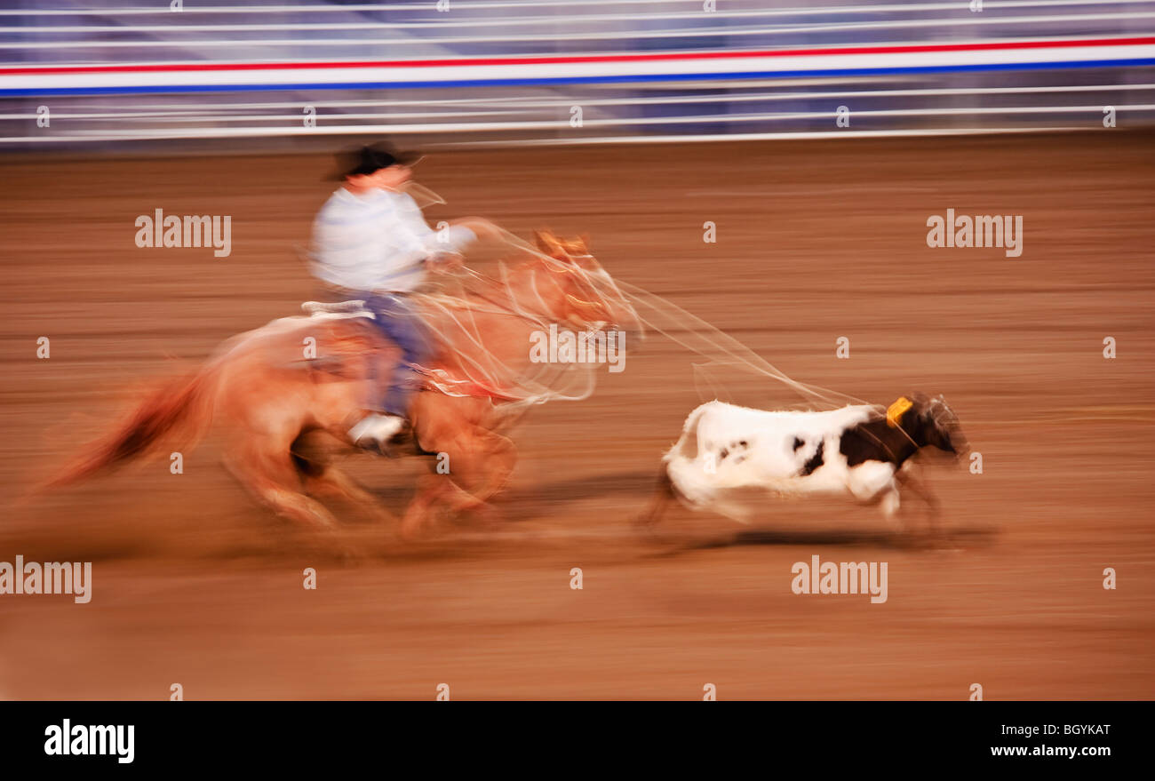 Calf roping history hi-res stock photography and images - Alamy