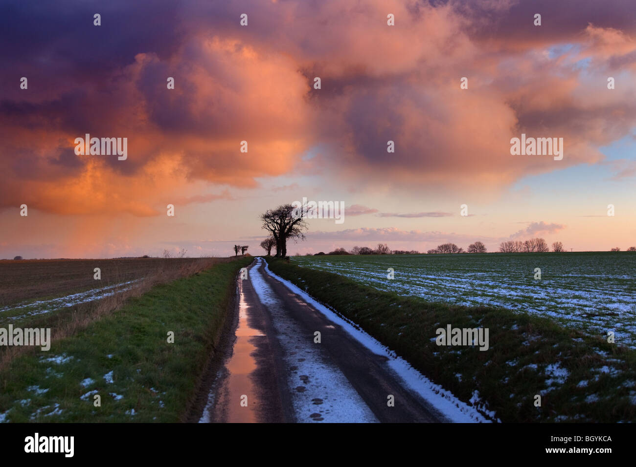 Plough lane hi-res stock photography and images - Alamy
