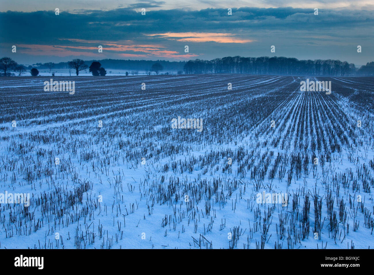 Farming landscape lines hi-res stock photography and images - Alamy