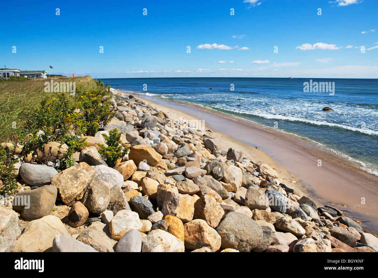 Beach bodies hi-res stock photography and images - Alamy