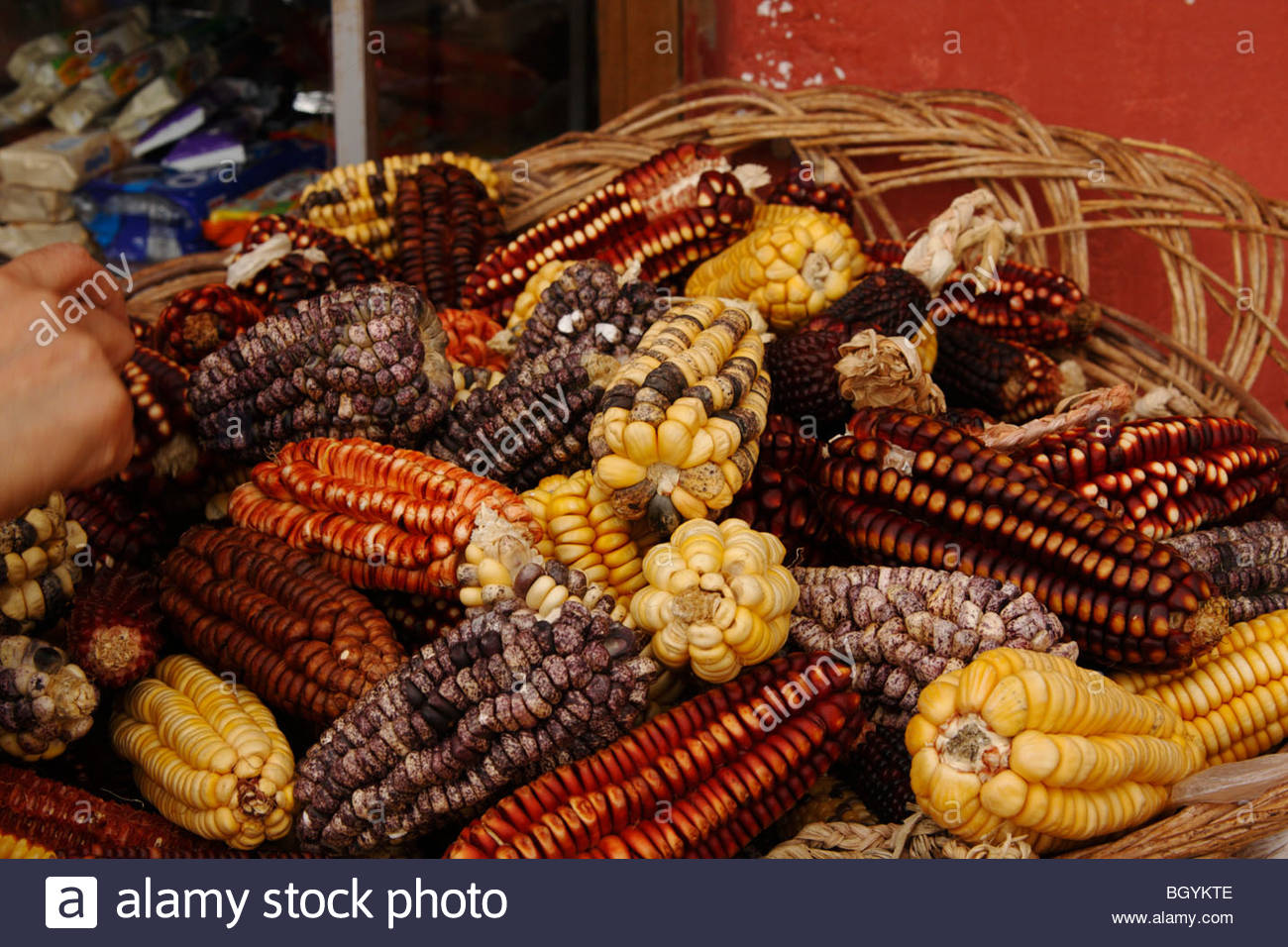 Cob Sale High Resolution Stock Photography and Images - Alamy