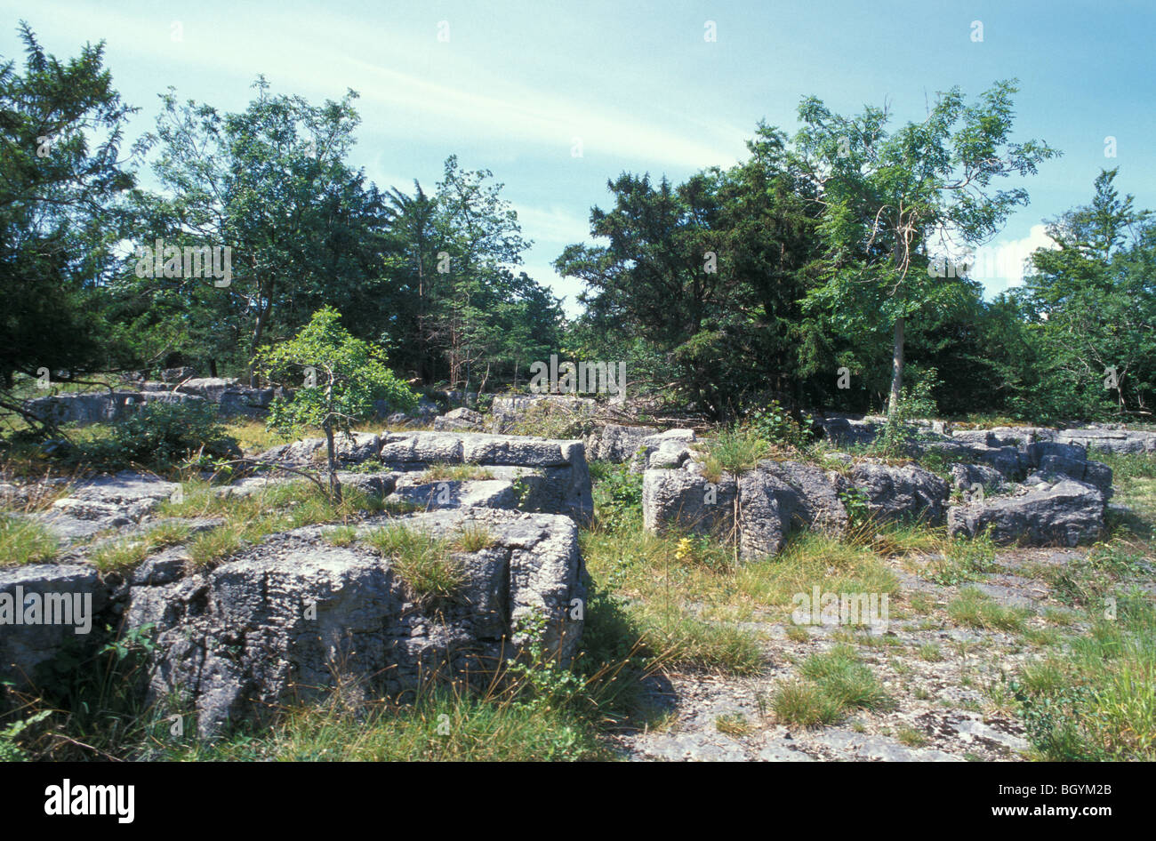 Damaged limestone pavement at Gait Barrows National Nature Reserve ...
