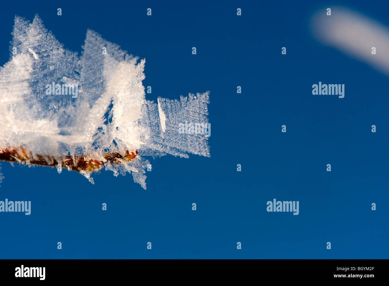 Ice crystals forming hi-res stock photography and images - Alamy