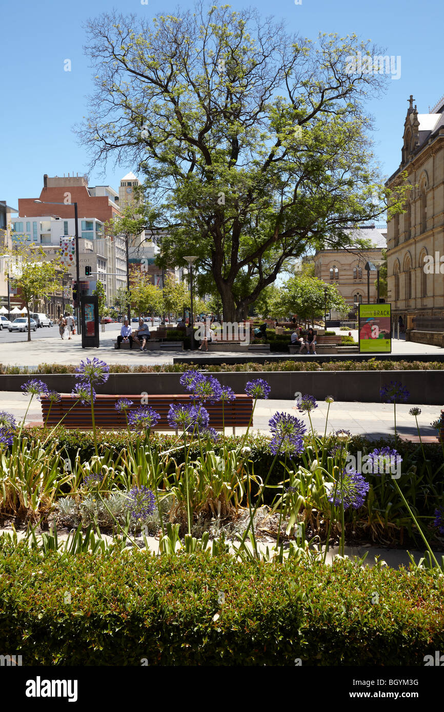 North Terrace adjacent to the Museum of South Australia, Adelaide, SA ...