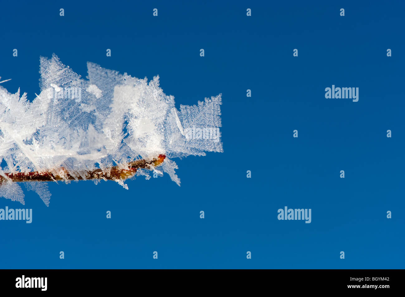 Forming freezing hi-res stock photography and images - Alamy