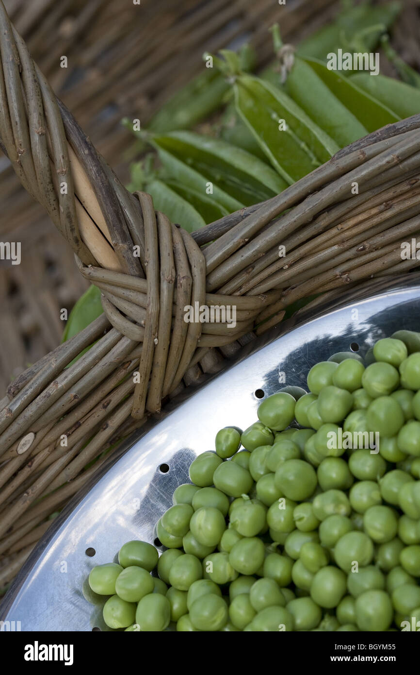 Red beans pods hi-res stock photography and images - Alamy