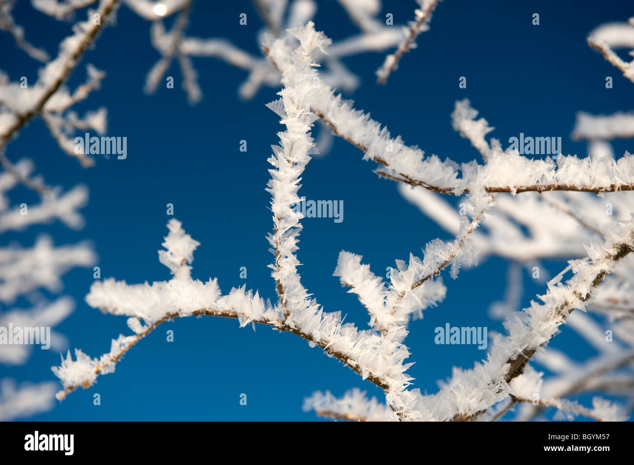 Crystal hi-res stock photography and images - Alamy