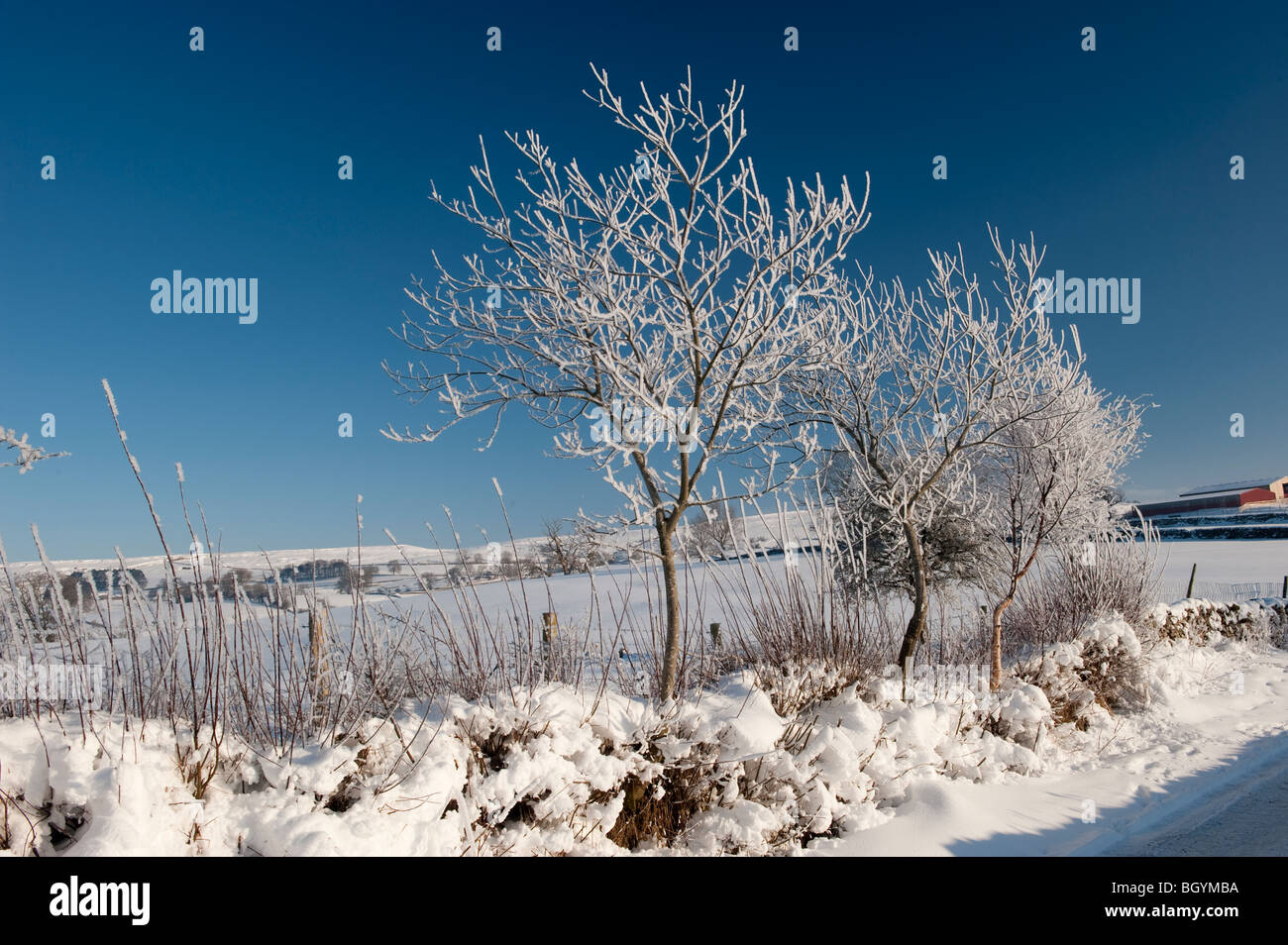 Ice crystals forming hi-res stock photography and images - Alamy