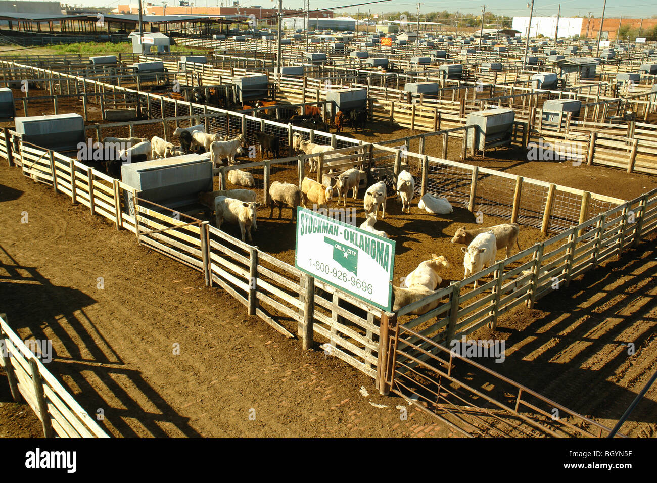 Oklahoma national stockyard hi-res stock photography and images - Alamy
