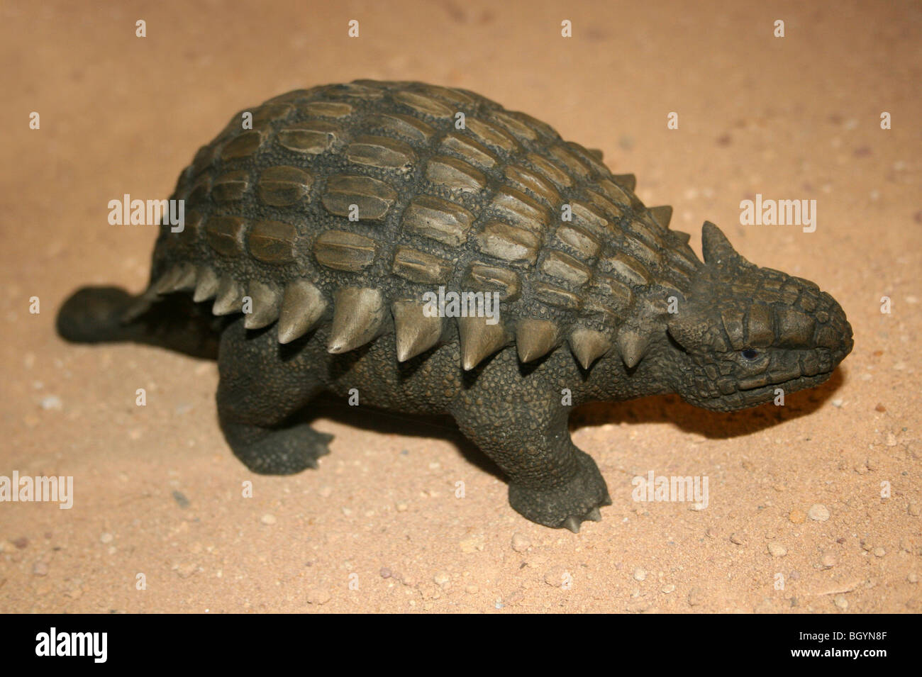 Dinosaur Model Of Ankylosaurus Stock Photo - Alamy