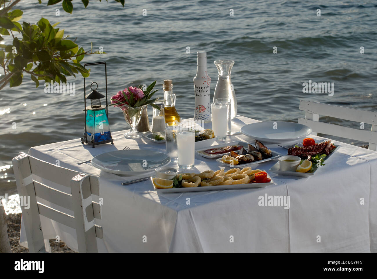 traditional Mediterranean cuisine at the beach on the table,calamari ...