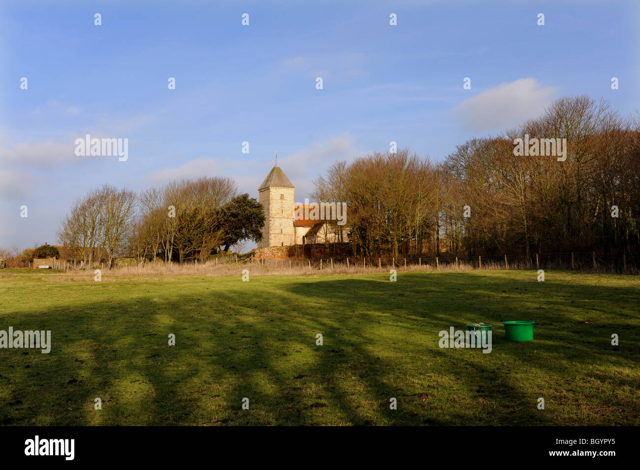 Sheep in a field beside St Andrew's Church in Bishopstone near Seaford ...