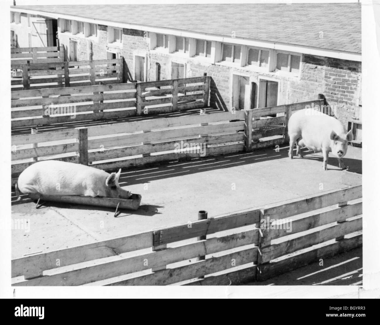 Historical prison hi-res stock photography and images - Alamy