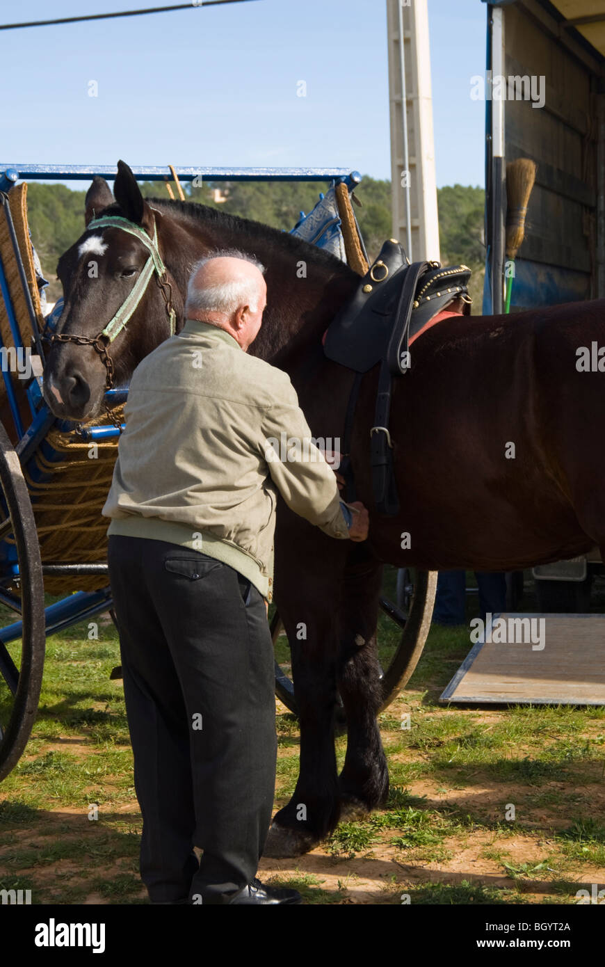 Horse being saddled up Stock Photo - Alamy