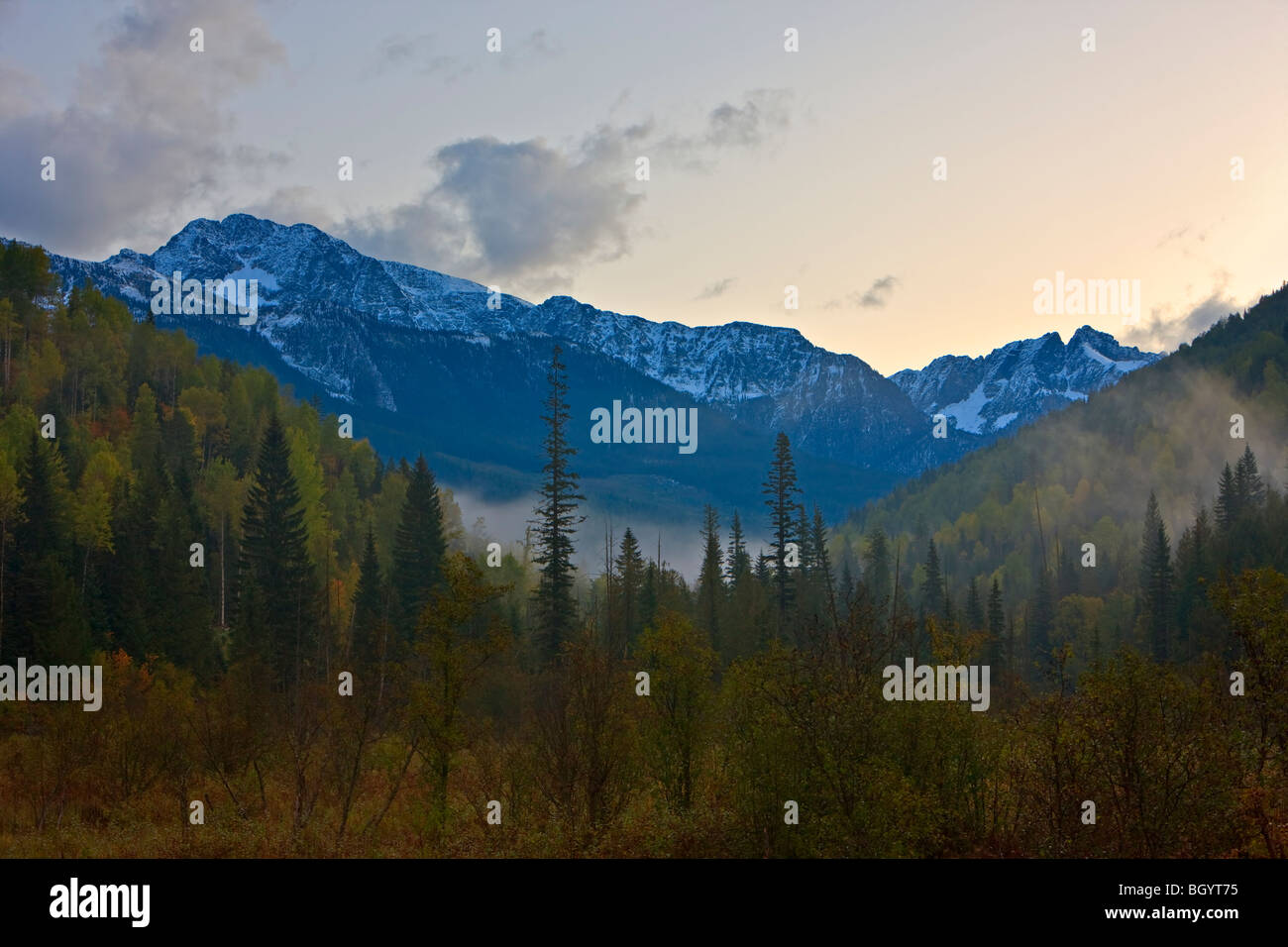Fall forest colours and fog at the foot of the Selkirk Mountain range ...