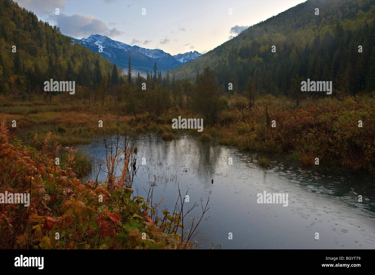 Snowcapped peaks of the Selkirk Mountains and fall forest colors viewed ...