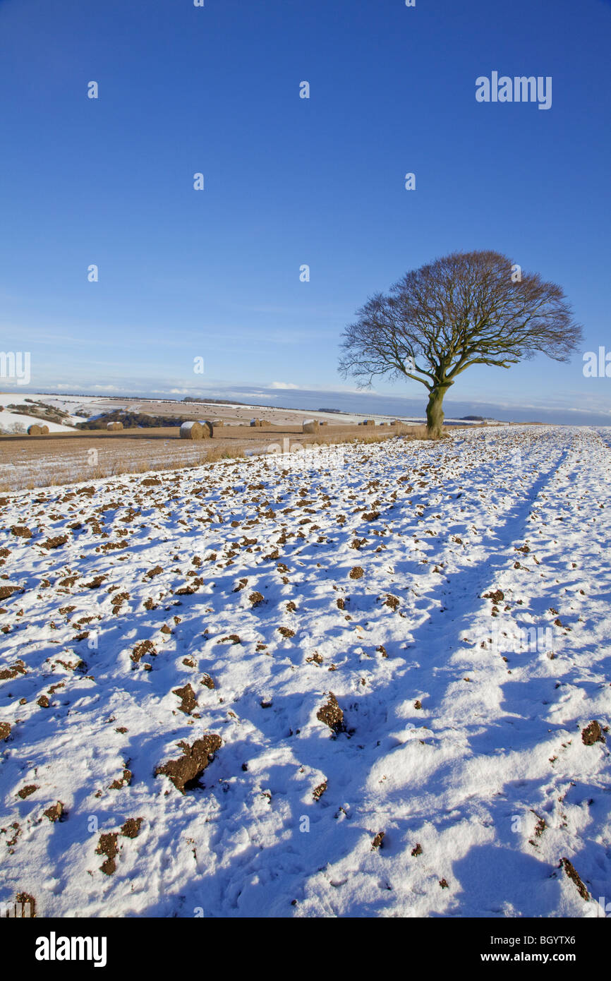 Snowy Yorkshire Wolds above Forden Yorkshire Wolds East Yorkshire Stock ...