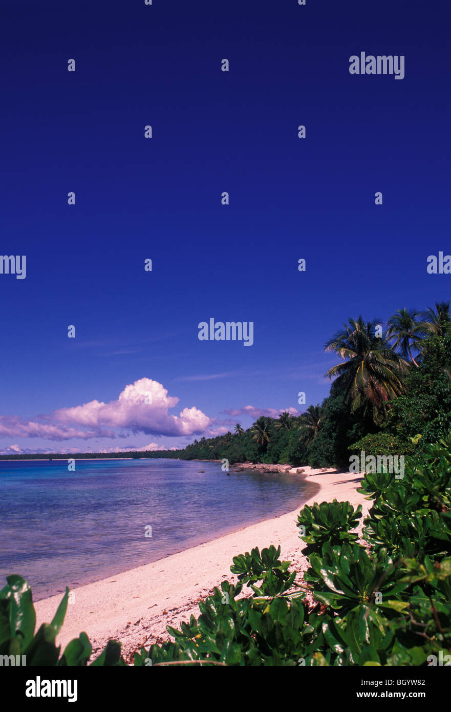 Pohnpei, Micronesia High Resolution Stock Photography and Images - Alamy