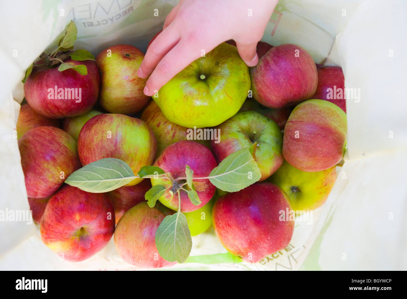 Pick and choose hi-res stock photography and images - Alamy