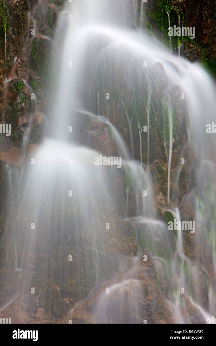 Waterfall in the rainforest near Port Alice, Northern Vancouver Island ...