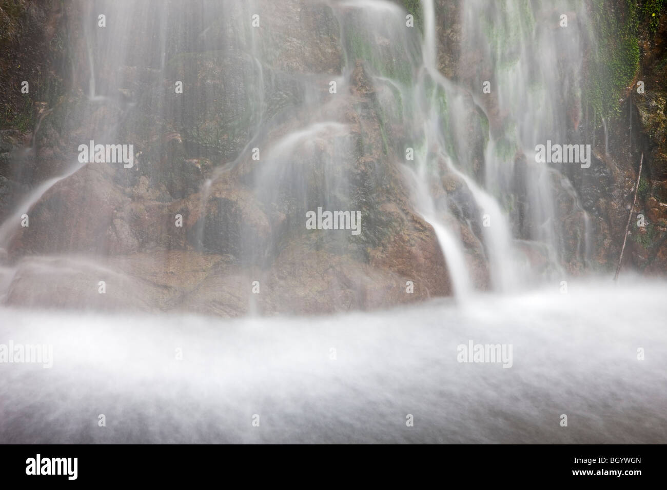 Waterfall in the rainforest near Port Alice, Northern Vancouver Island ...