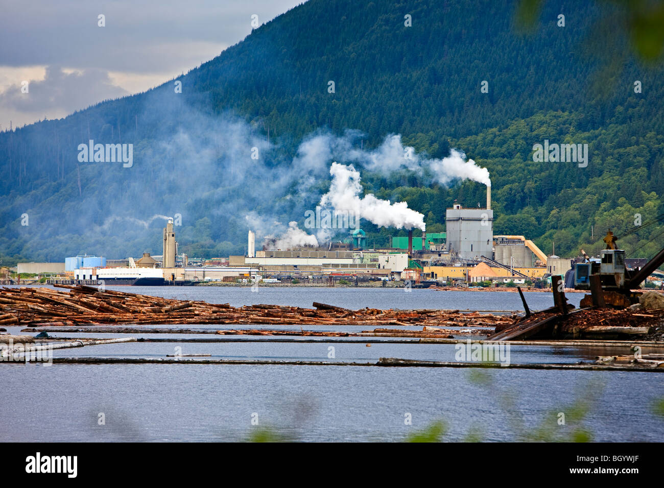 Pulp mill hi-res stock photography and images - Alamy