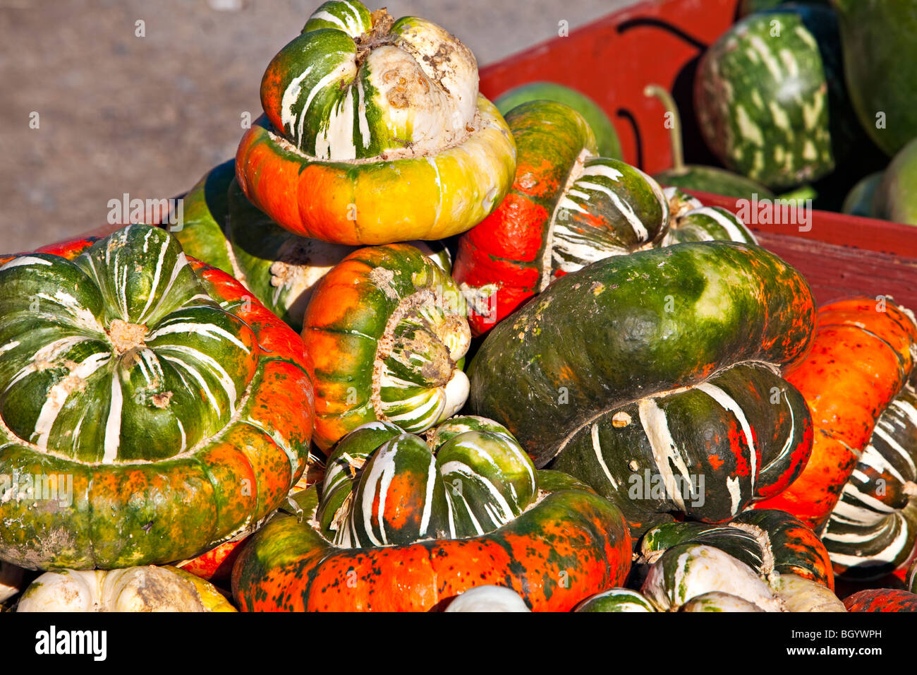 British seasons hi-res stock photography and images - Alamy