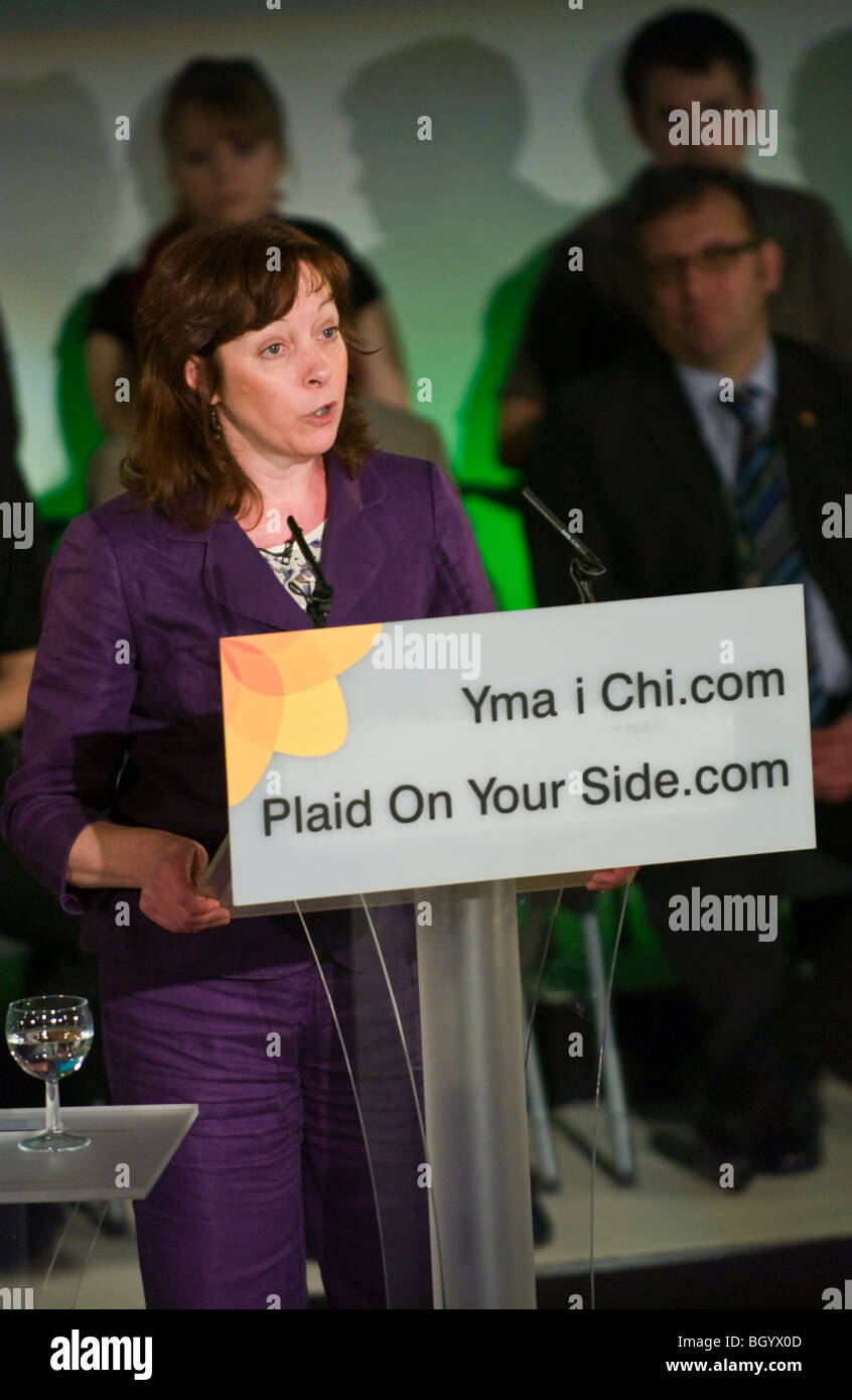 Jill evans mep hi-res stock photography and images - Alamy