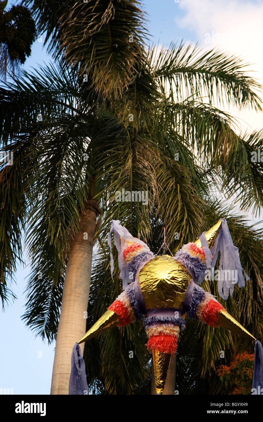 Festive Pinata with Palm Trees Stock Photo - Alamy