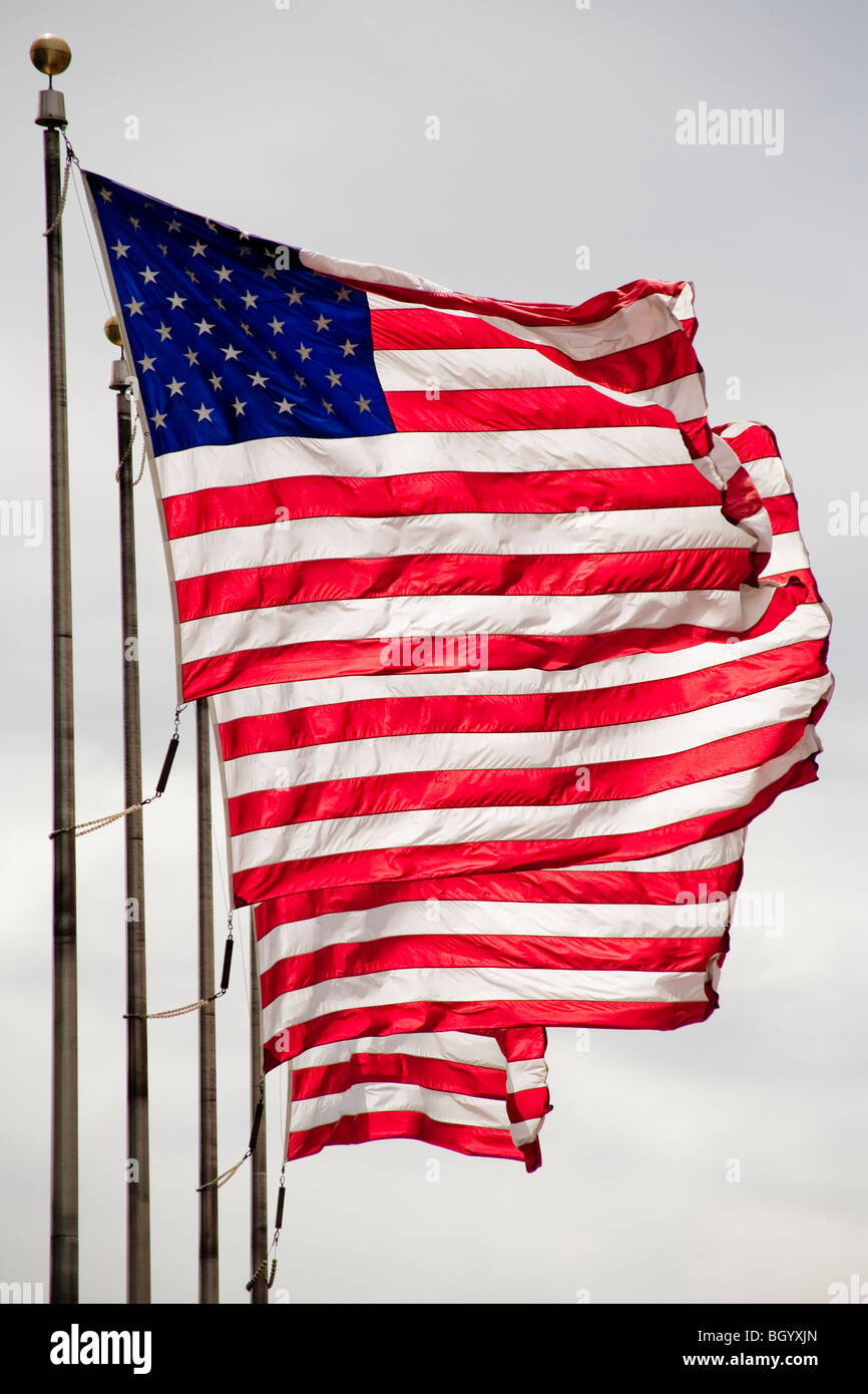 Eight American flags billow in a strong wind in Detroit, Michigan Stock ...