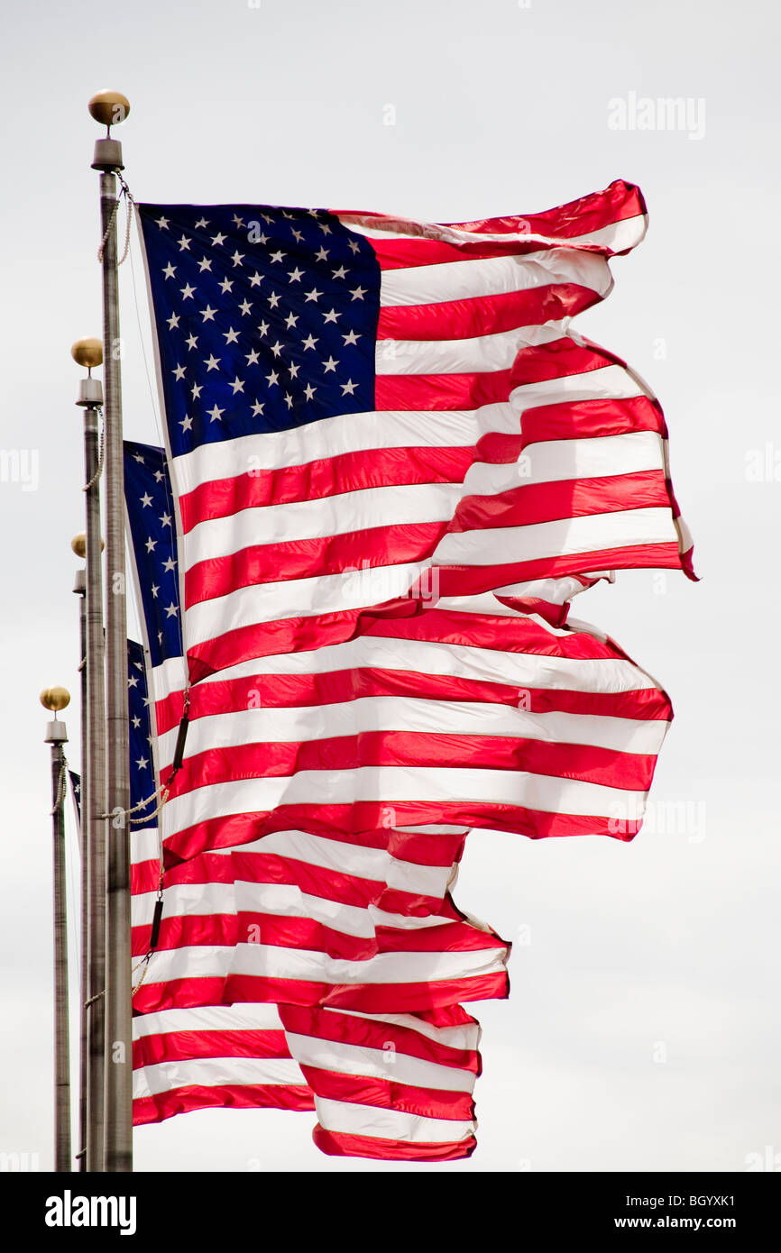 Eight banners hi-res stock photography and images - Alamy