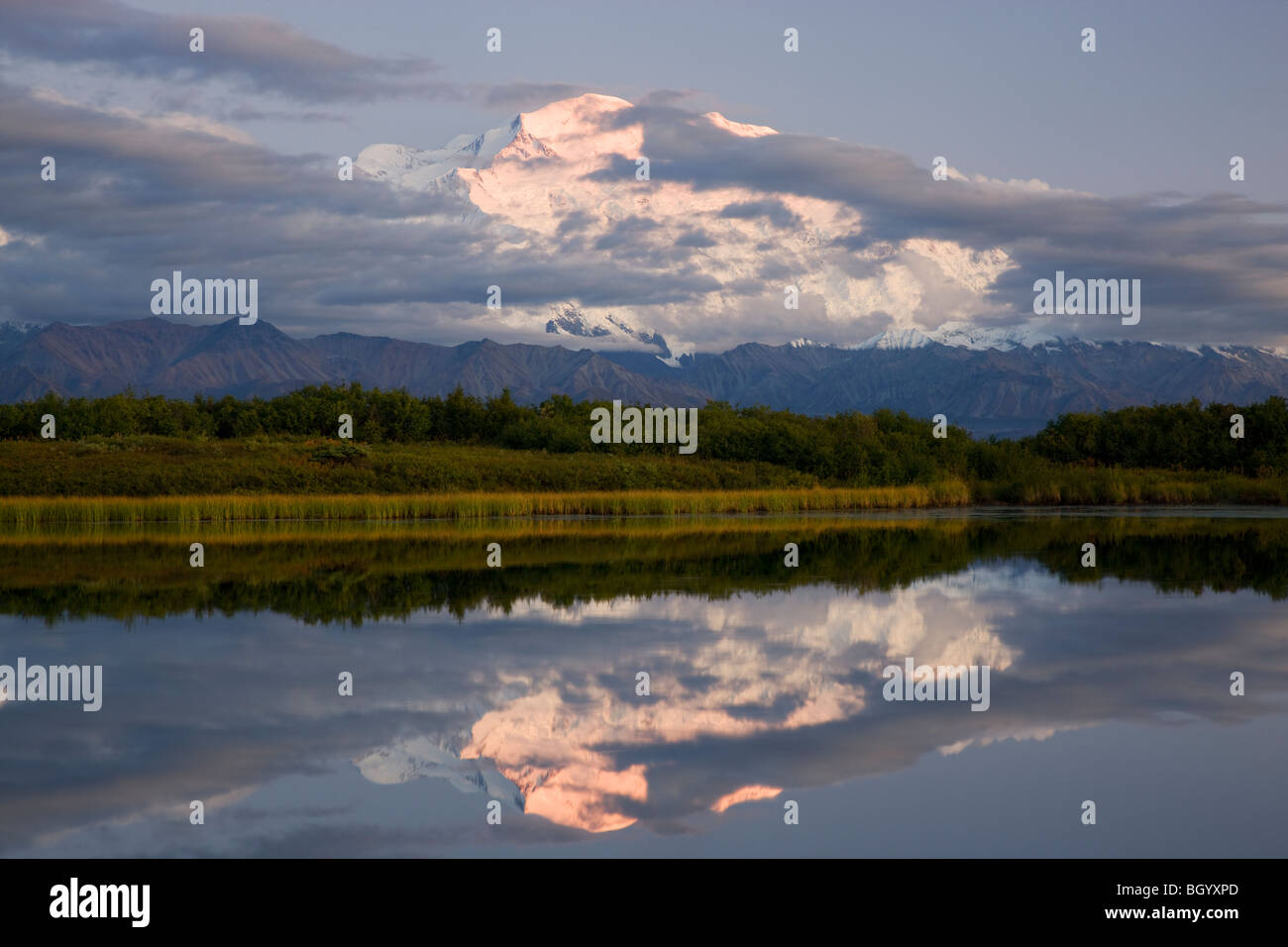 Mt. McKinley from Reflection Pond, Denali National Park, Alaska Stock ...