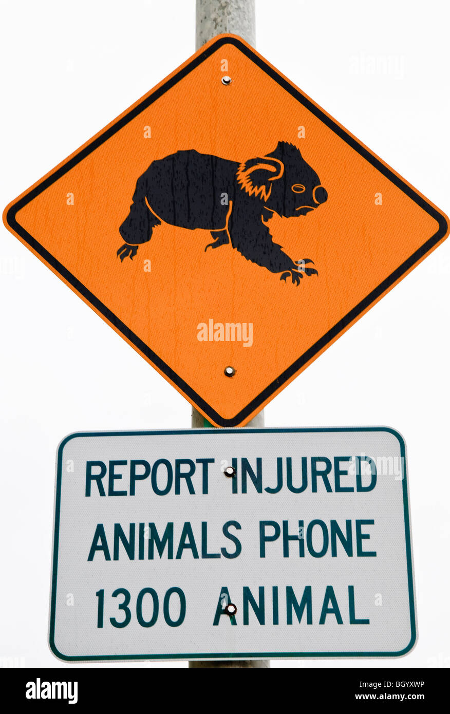 BRISBANE, Australia - Warning sign on the side of the road warning of ...
