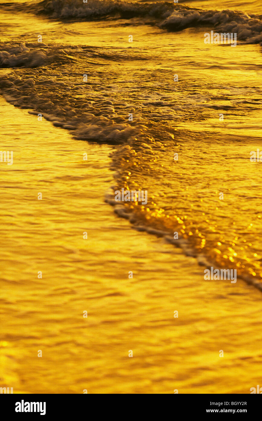 Late afternoon sunlight on ocean waves, Florida Stock Photo - Alamy