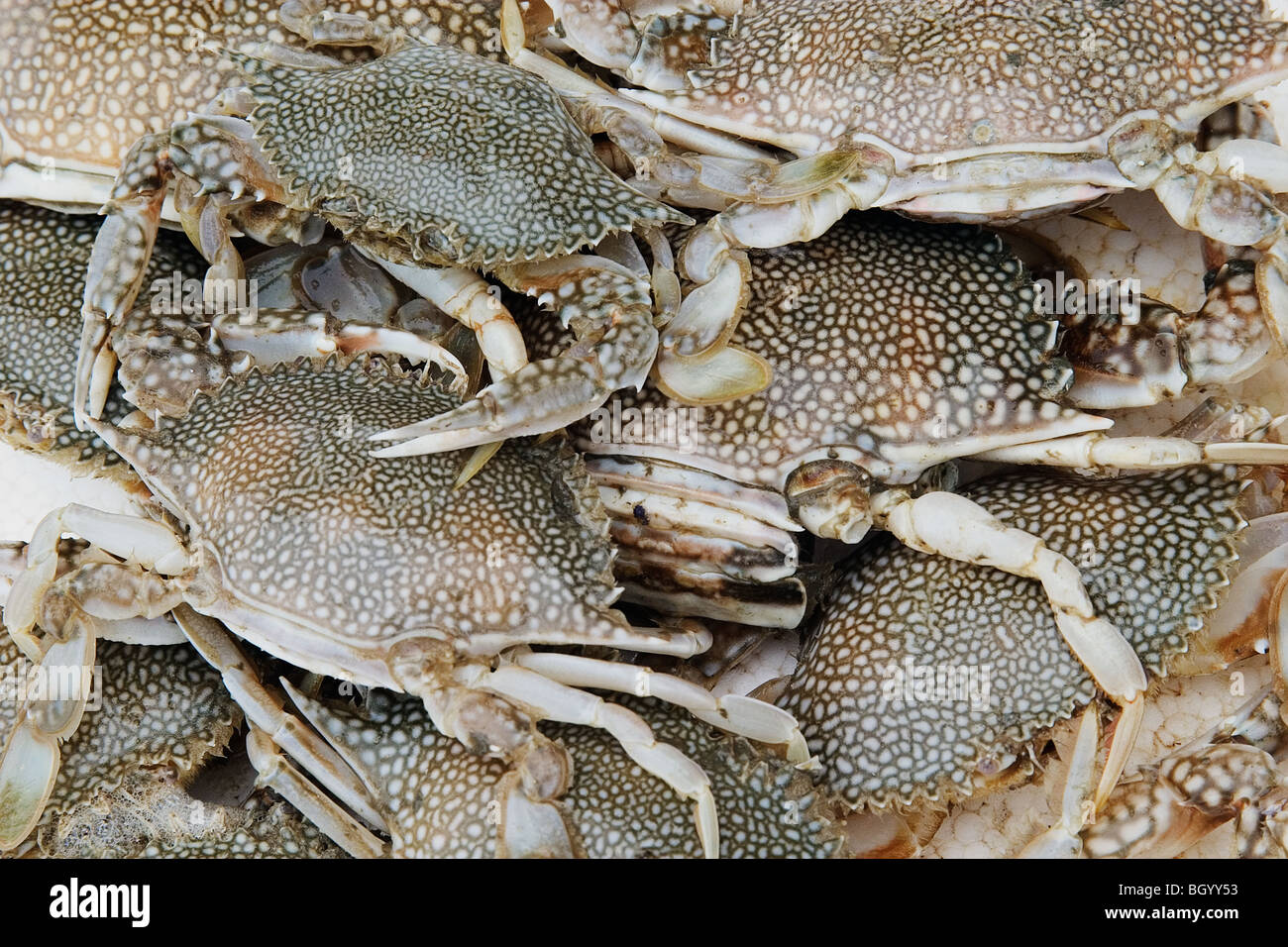 Local fish market hi-res stock photography and images - Alamy