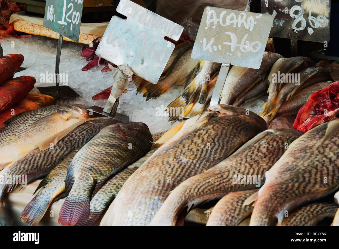 Fish for sale at a street market in Rio de Janeiro, Brazil Stock Photo ...