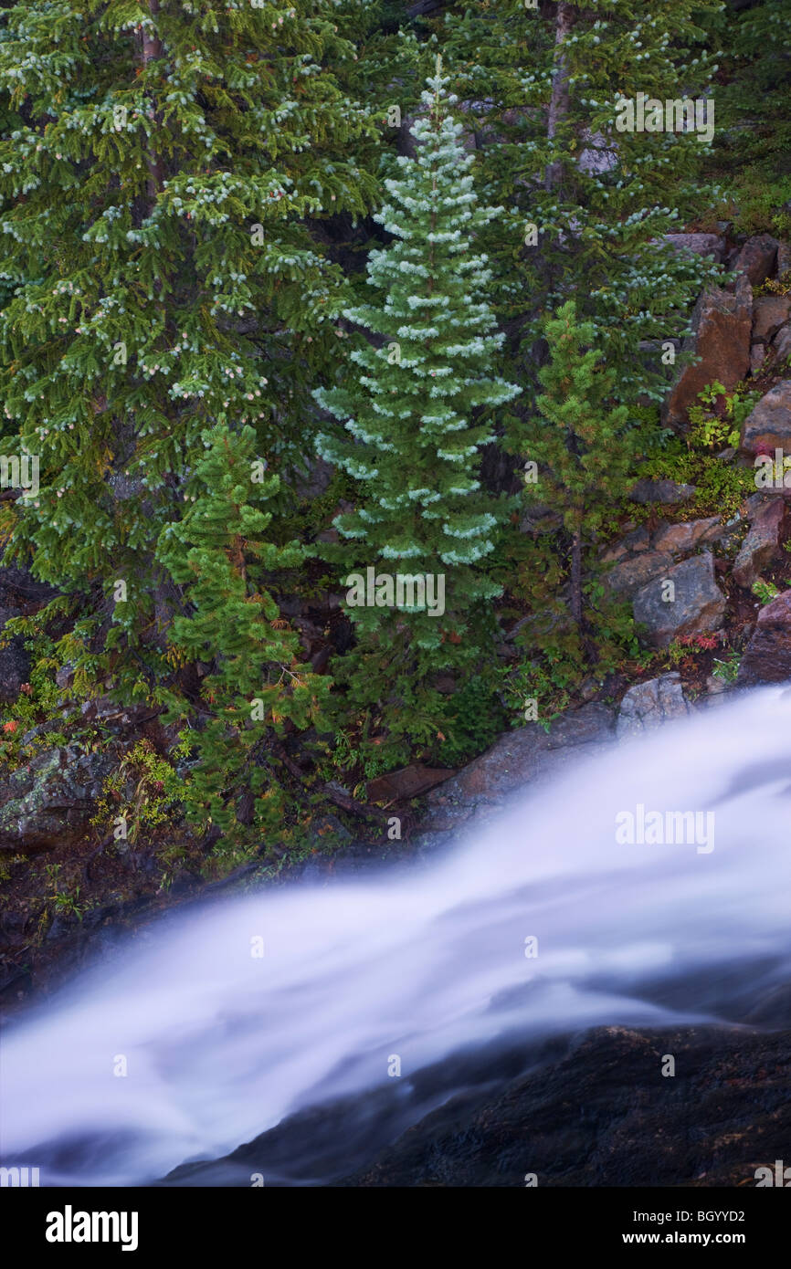 Alberta Falls, Rocky Mountain National Park, Colorado Stock Photo - Alamy