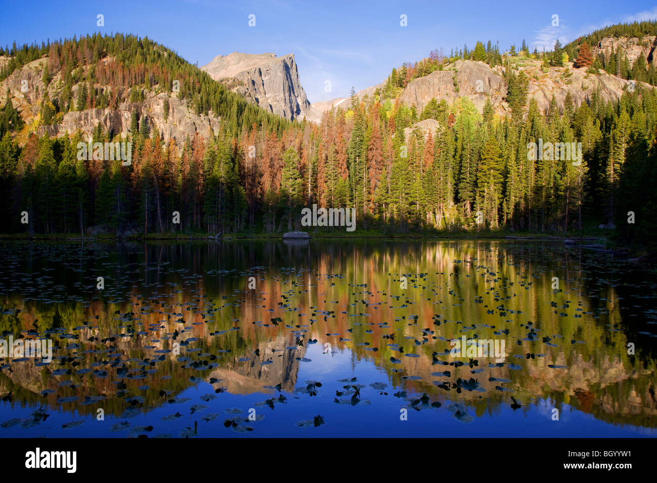 Nymph Lake, Rocky Mountain National Park, Colorado Stock Photo - Alamy